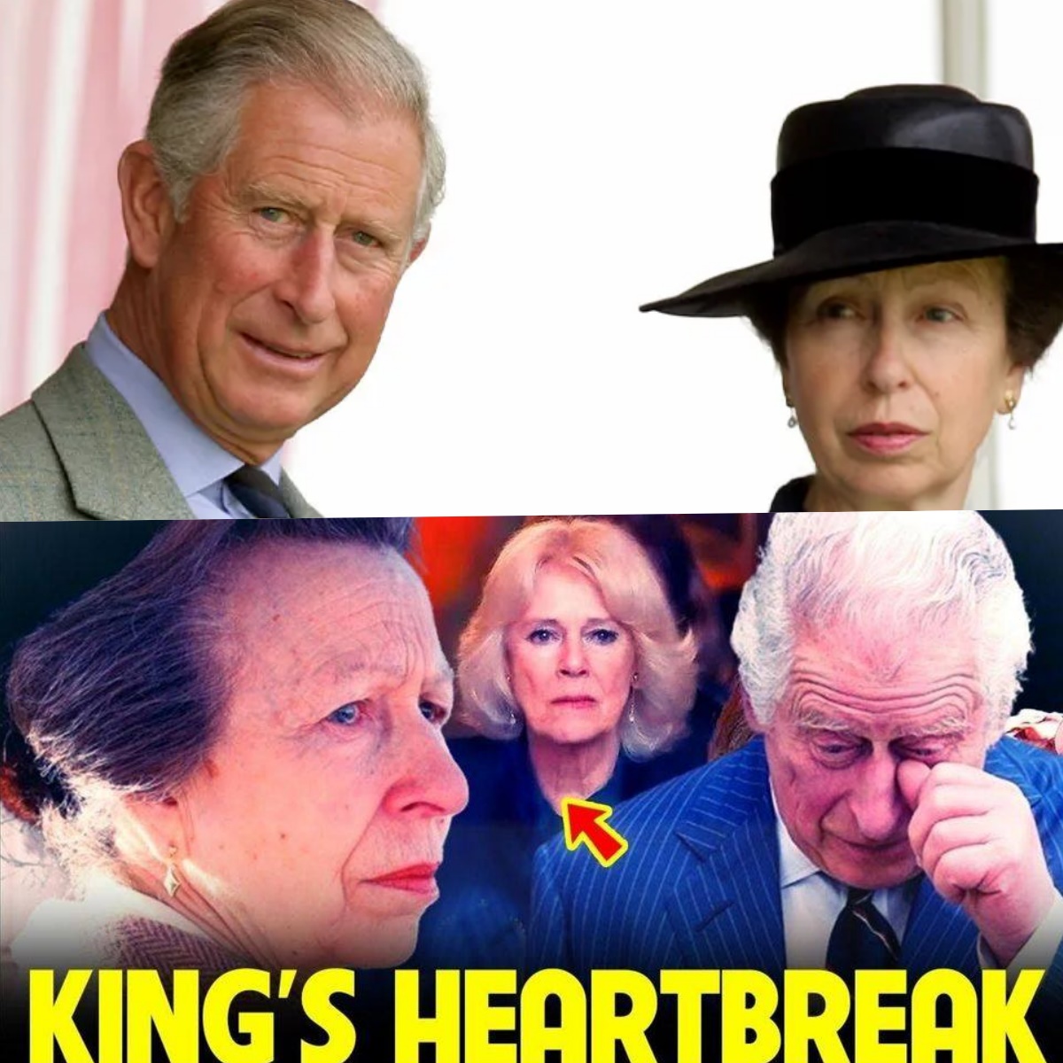 Princess Anne’s TRAGIC Message To King Charles Over His FINAL Decision ...