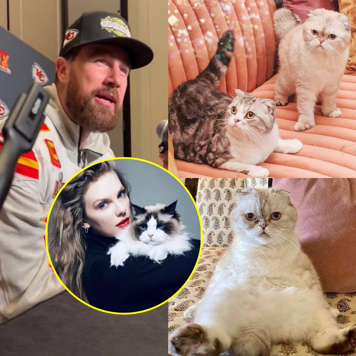 Watch as Travis Kelce Reveals Which of Taylor Swift’s Emotional Support ...